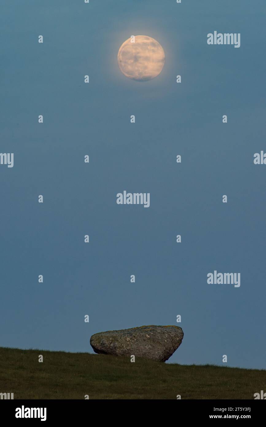 The fallen Bronze Age standing stone of Bryn-y-Maen, near Llandegley in ...