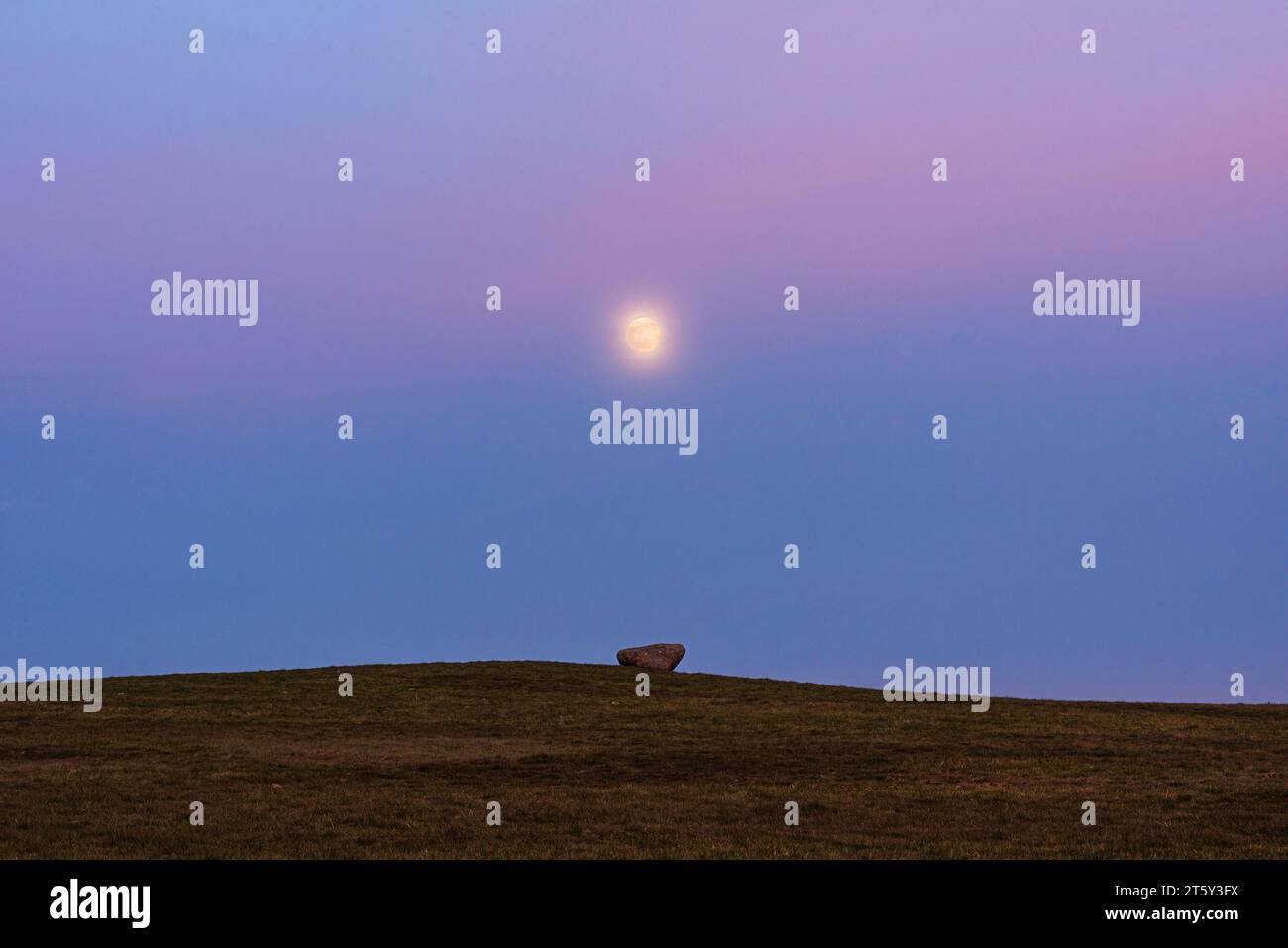 The fallen Bronze Age standing stone of Bryn-y-Maen, near Llandegley in ...