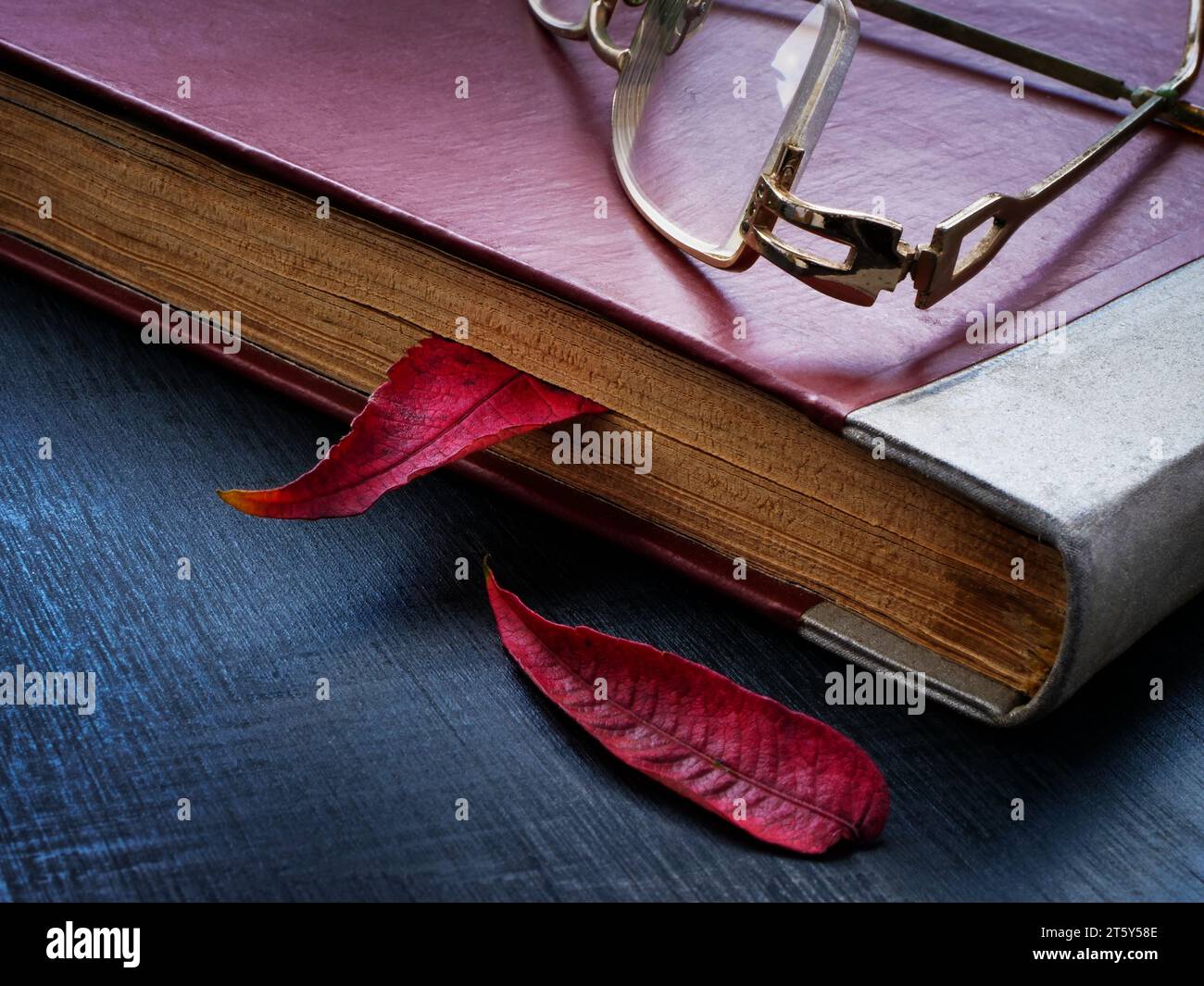 Vintage book and red autumn leaf. Reading, knowledge and memories Stock ...