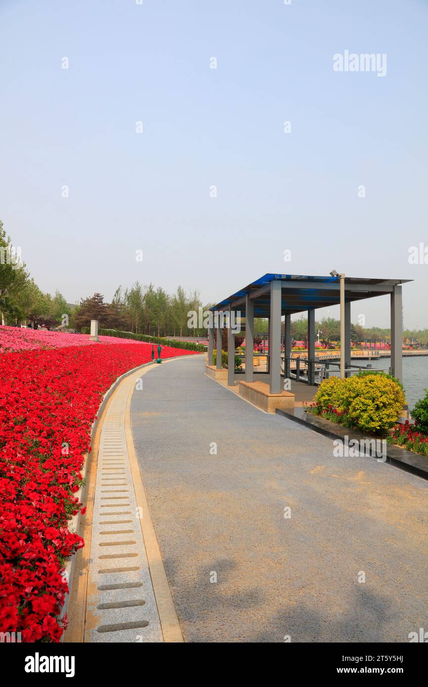 Red flower bed and steel girder truss Stock Photo - Alamy
