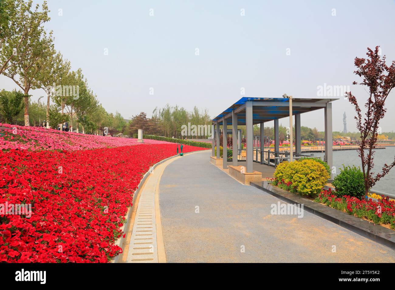 Red flower bed and steel girder truss Stock Photo - Alamy