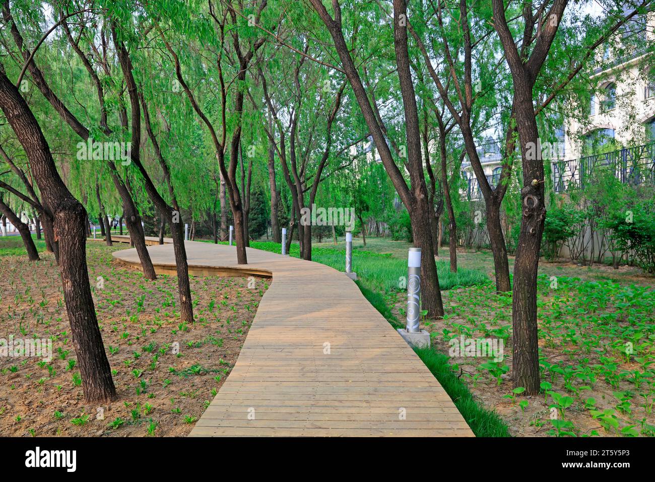 Oxygen channel hi-res stock photography and images - Alamy