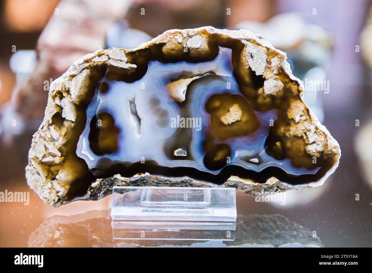 Brno, Czech Republic. 07th Nov, 2023. The Moravian Museum opened an ...