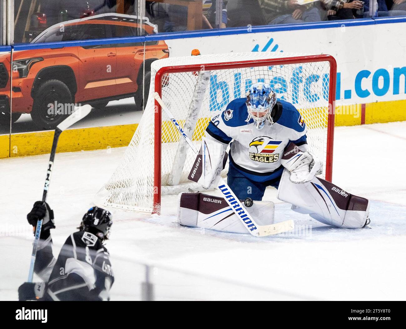 Blue fcu arena hi-res stock photography and images - Alamy