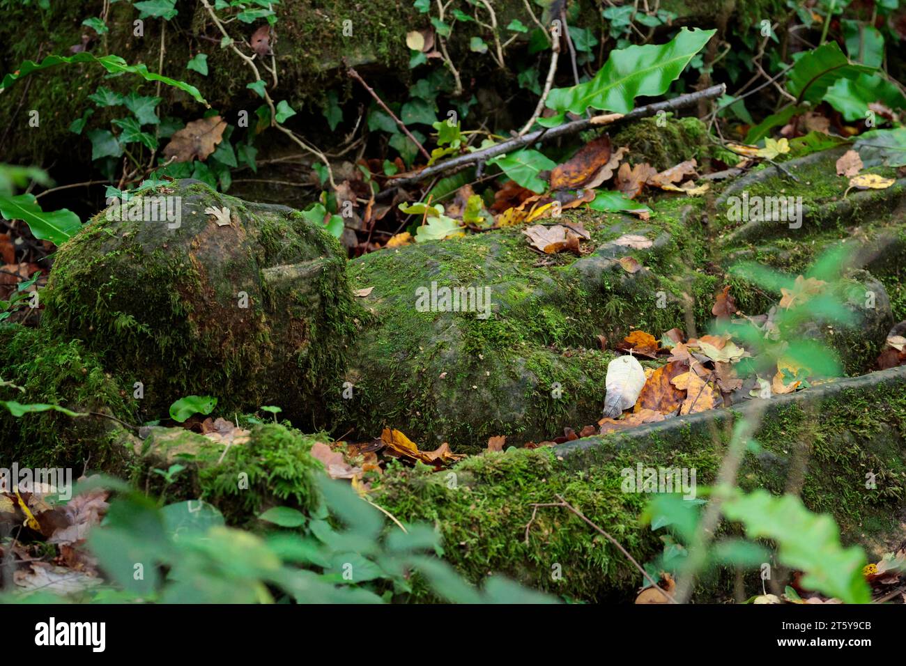 Stone soldier in vegetation hi-res stock photography and images - Alamy