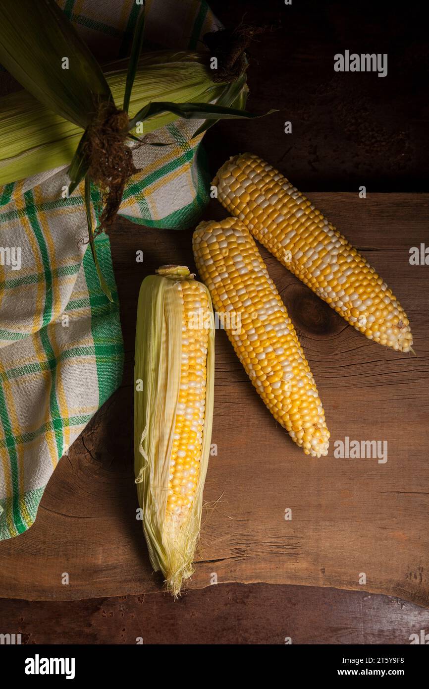 Three ears of ripe sweet corn with green leaves and green towel on ...