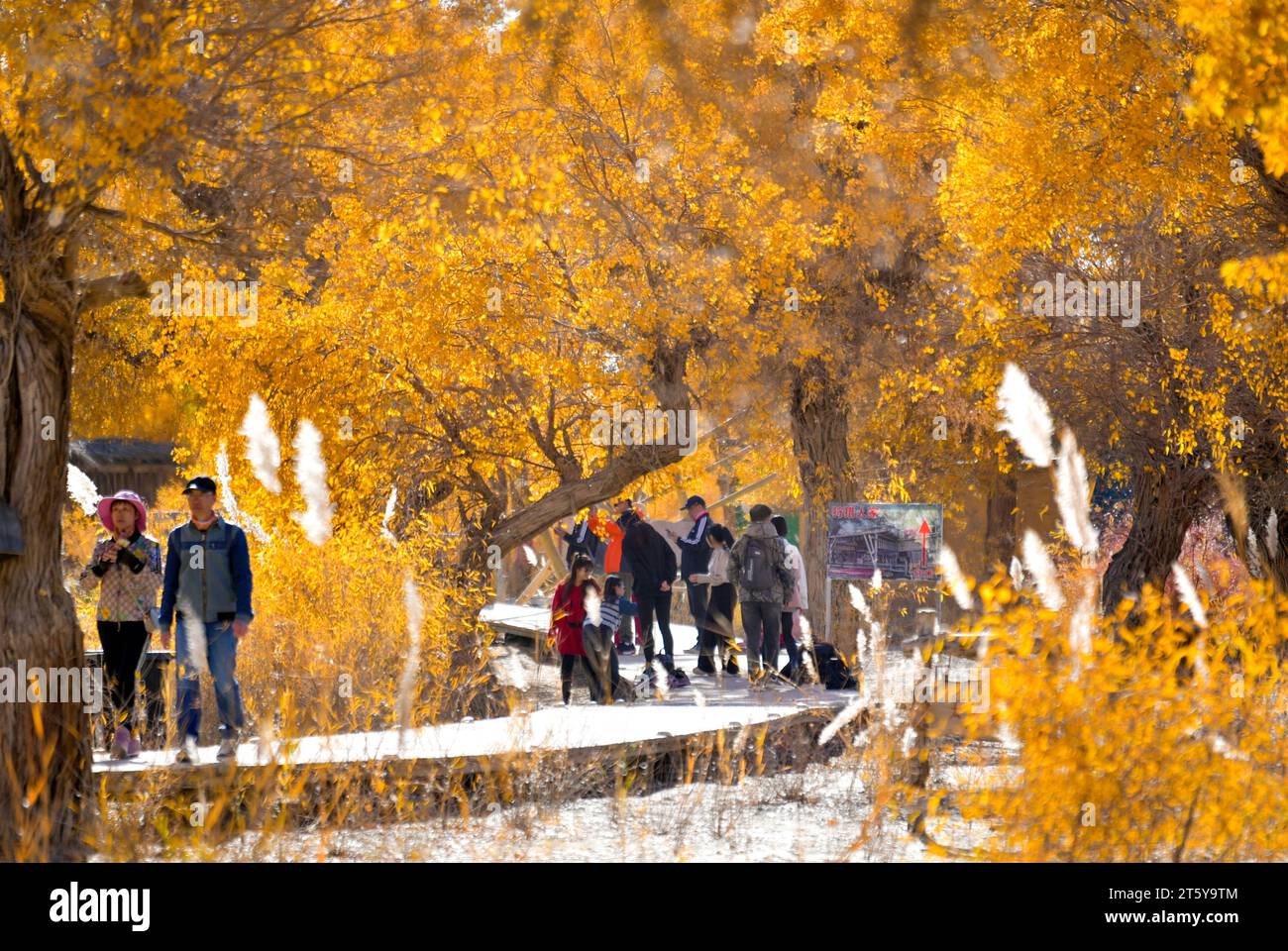 (231107) -- URUMQI, Nov. 7, 2023 (Xinhua) -- Tourists view the scenery ...
