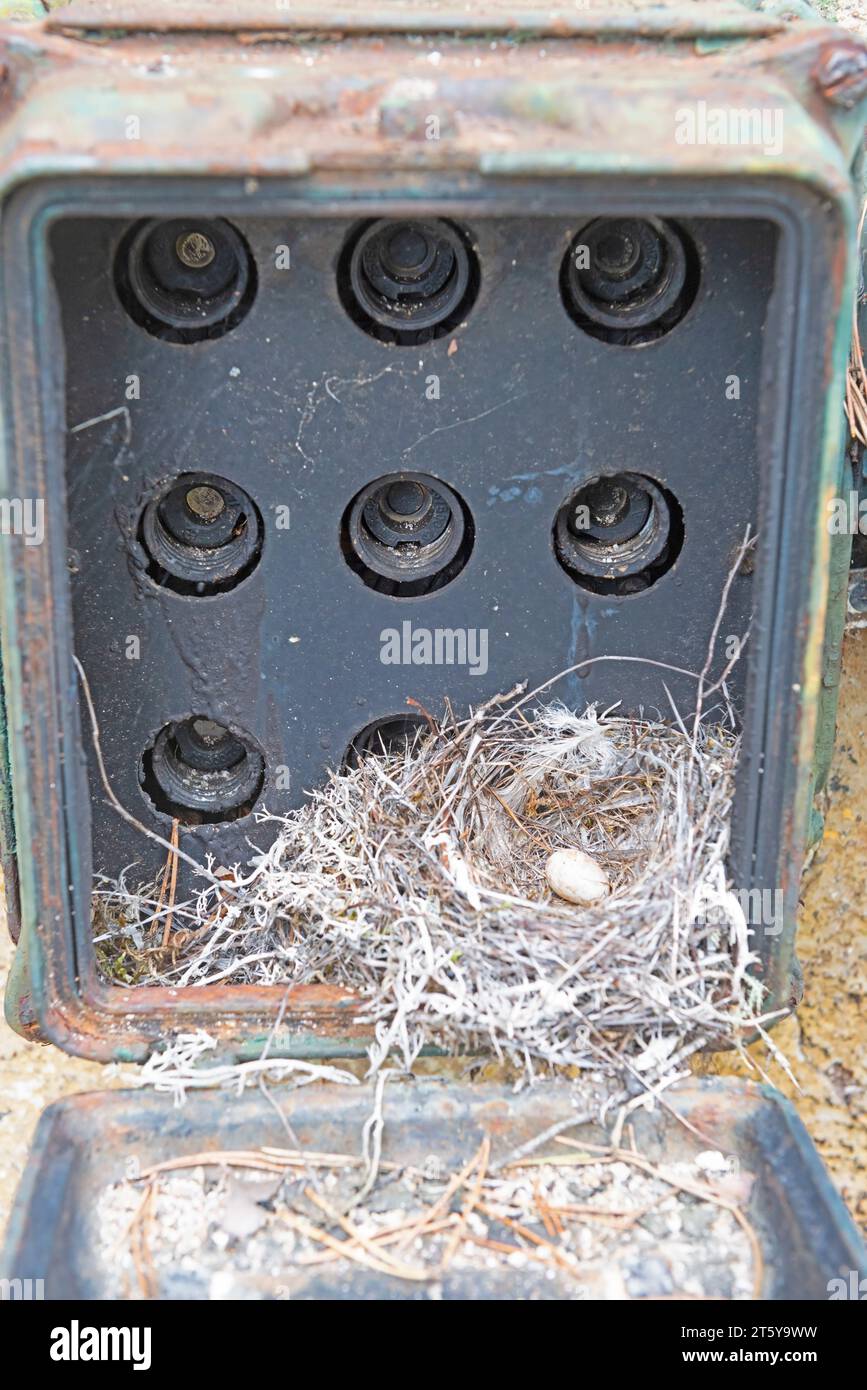 Old electrical installations Stock Photo - Alamy