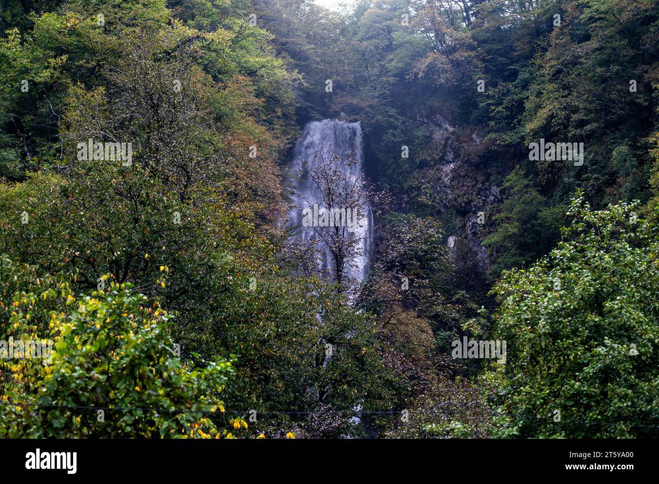 Mirveti waterfall in the mountains of Adzharia. Georgia Stock Photo - Alamy