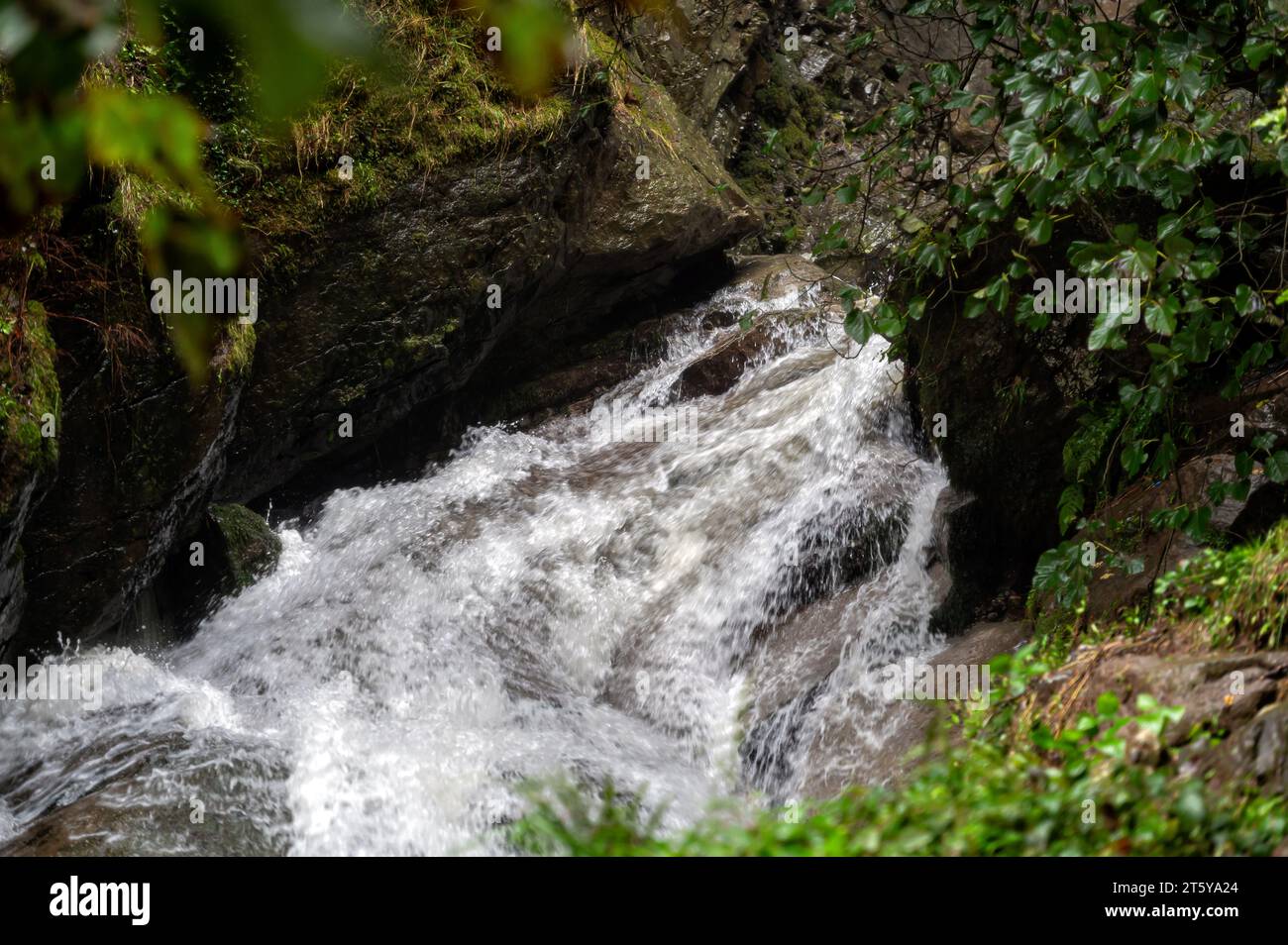 Rapid and powerful water flow between large rocks in cold mountain ...