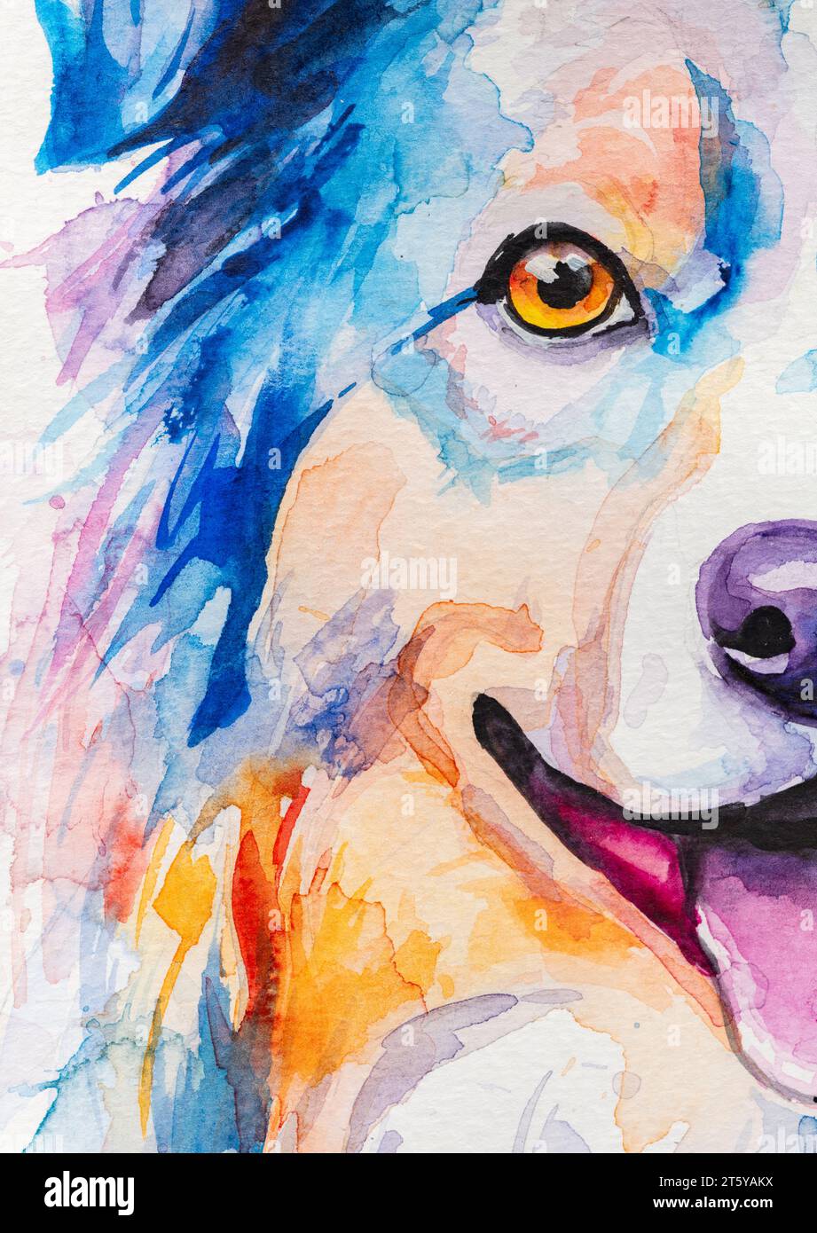 dog painted in watercolor on a white background Stock Photo - Alamy