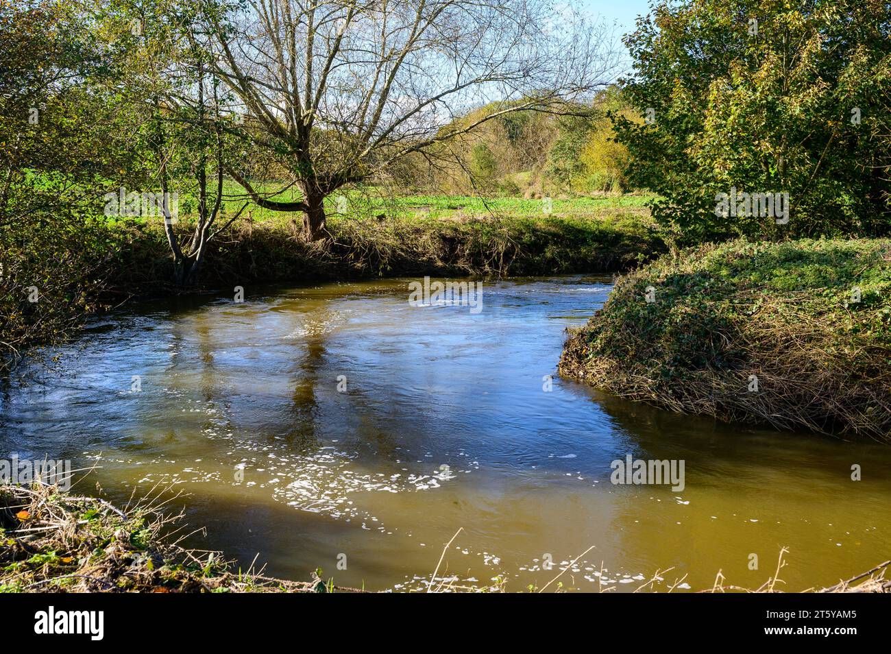 Bend in a stream flowing through a rural landscape in autumn Stock ...