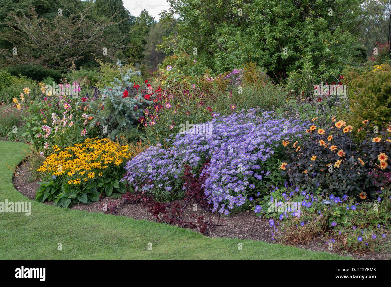 Mixed border planting at RHS Harlow Carr Stock Photo - Alamy