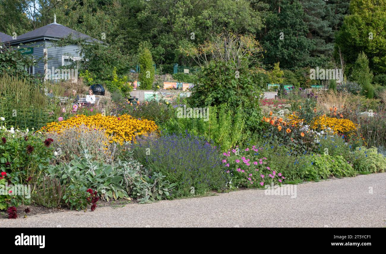 Mixed border planting at RHS Harlow Carr Stock Photo - Alamy