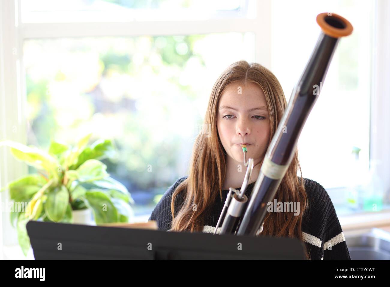 Teenage girl playing the bassoon in kitchen at home. Plays musical ...