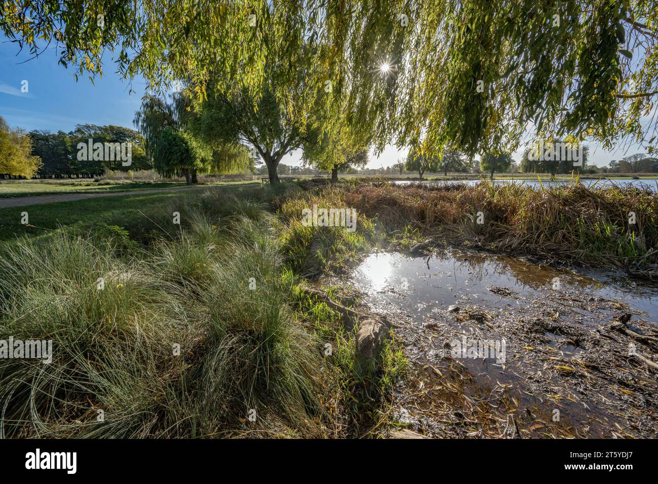 Morning sun reflection hi-res stock photography and images - Alamy