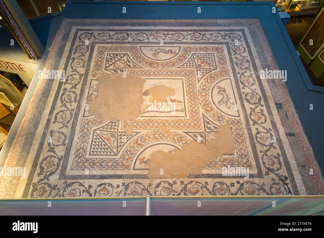 The Middlesborough Mosaic exhibit on display; exhibit interior / inside ...