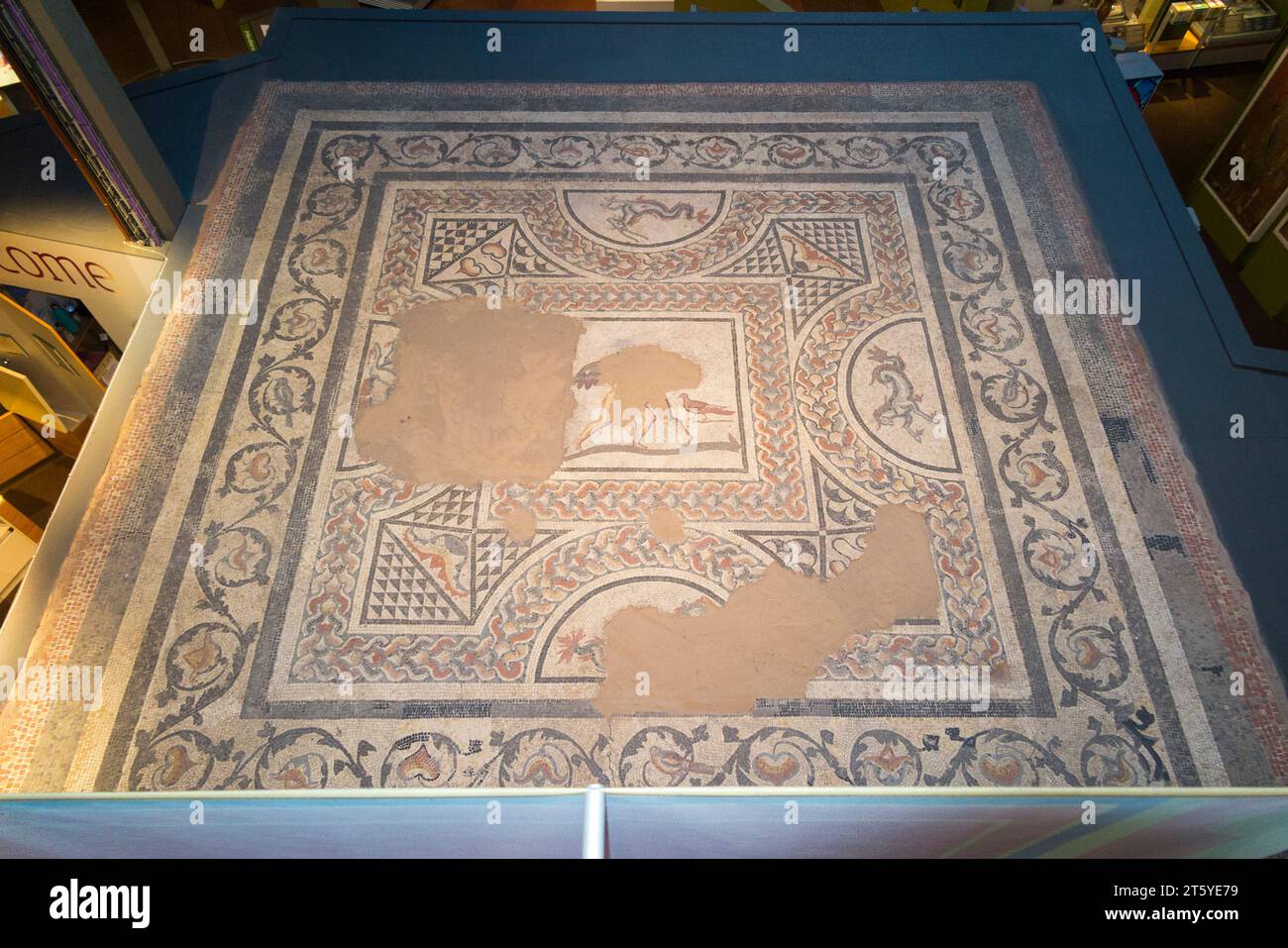The Middlesborough Mosaic exhibit on display; exhibit interior / inside ...