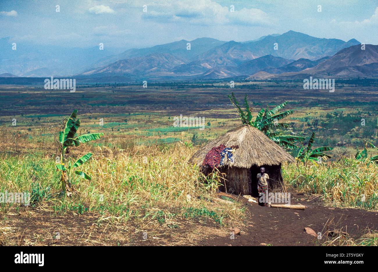 Rwanda, desolated hut in a landscape with some agricultural fields ...