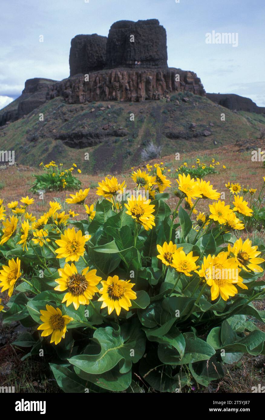 Twin Sisters, Wallula Gap, Washington Stock Photo - Alamy