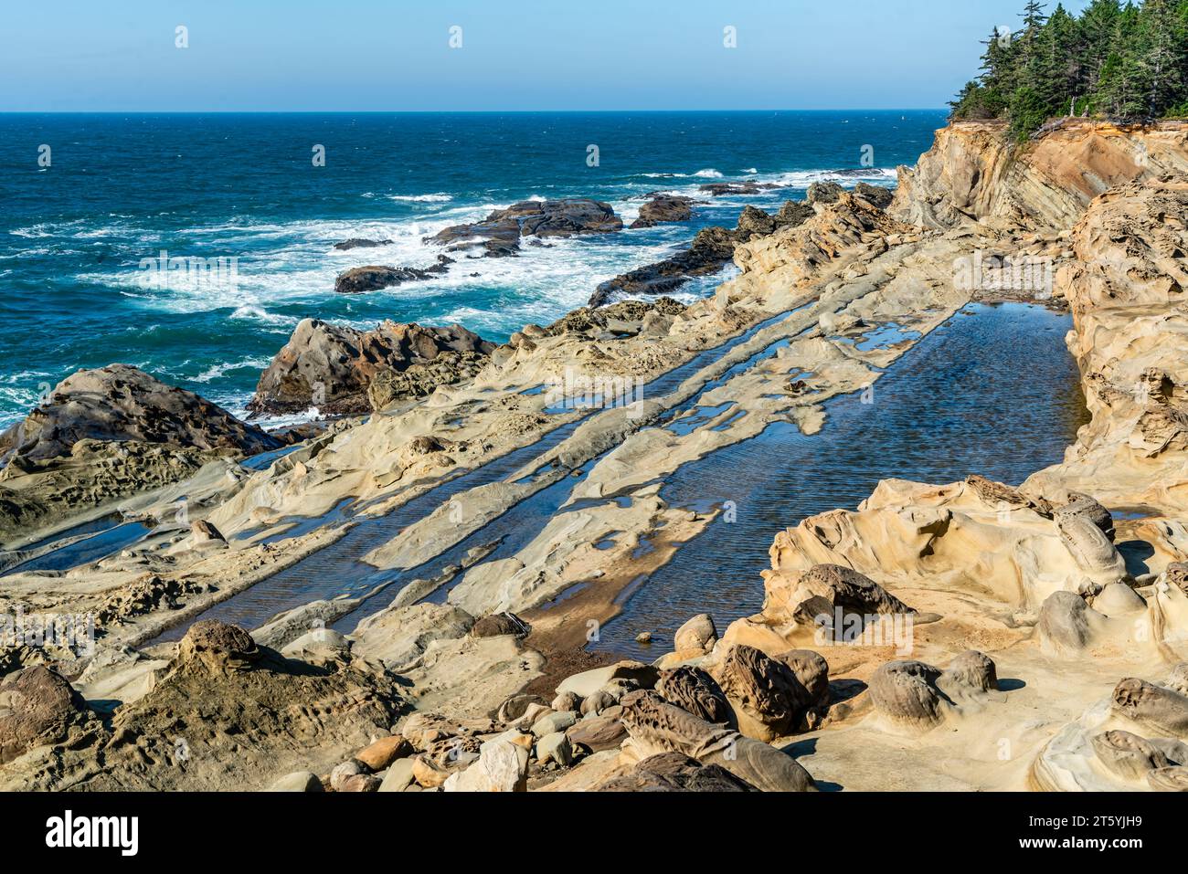 A view of interesting terrain at Shore Acres State Park in Oregon State ...