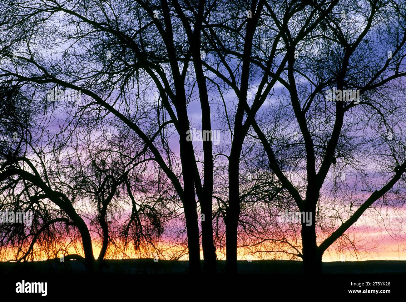 Banks Lake sunset, Coulee City Community Park, Washington Stock Photo ...