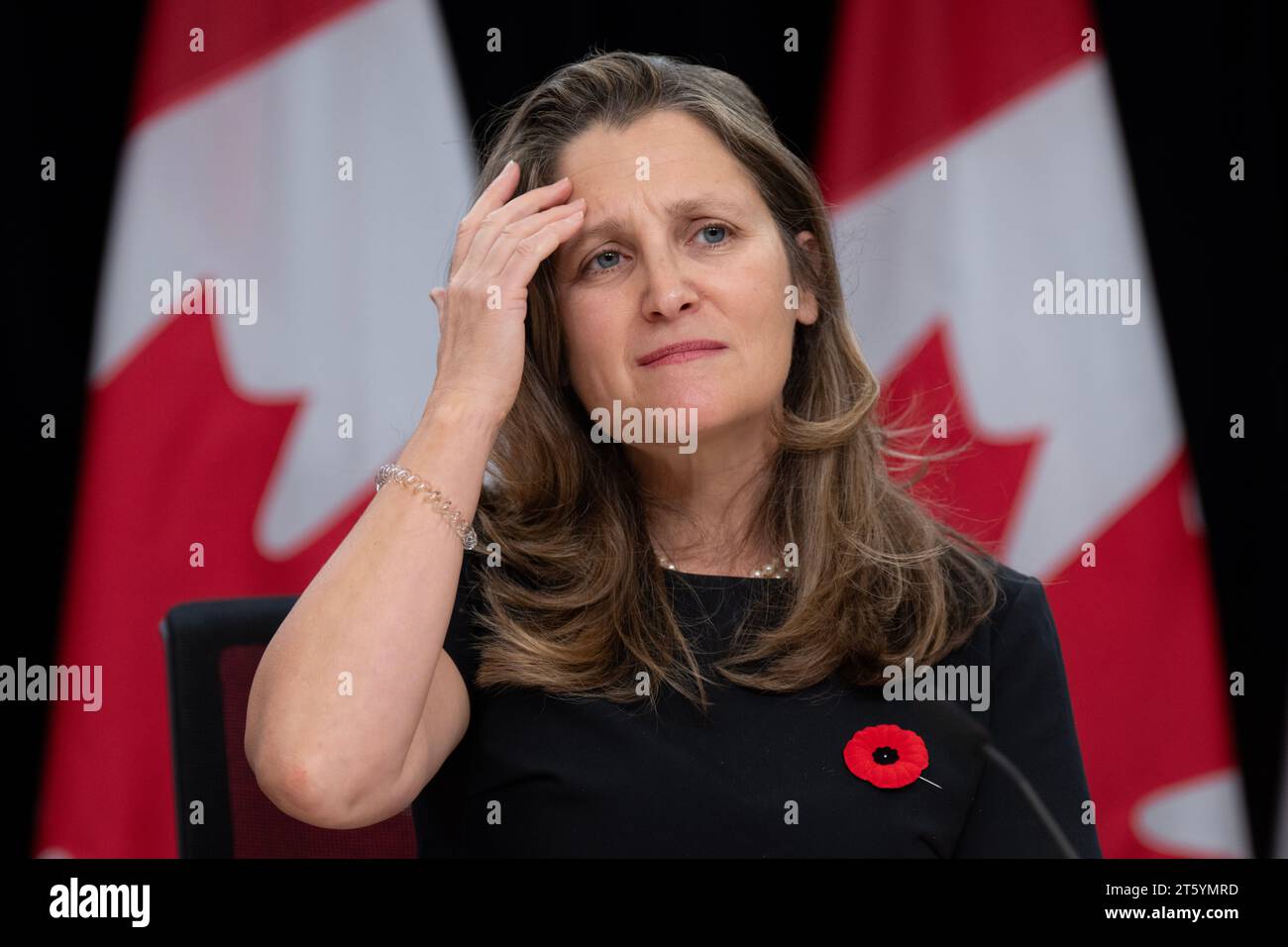 Ottawa, Canada. 07th Nov, 2023. Deputy Prime Minister and Minister of ...