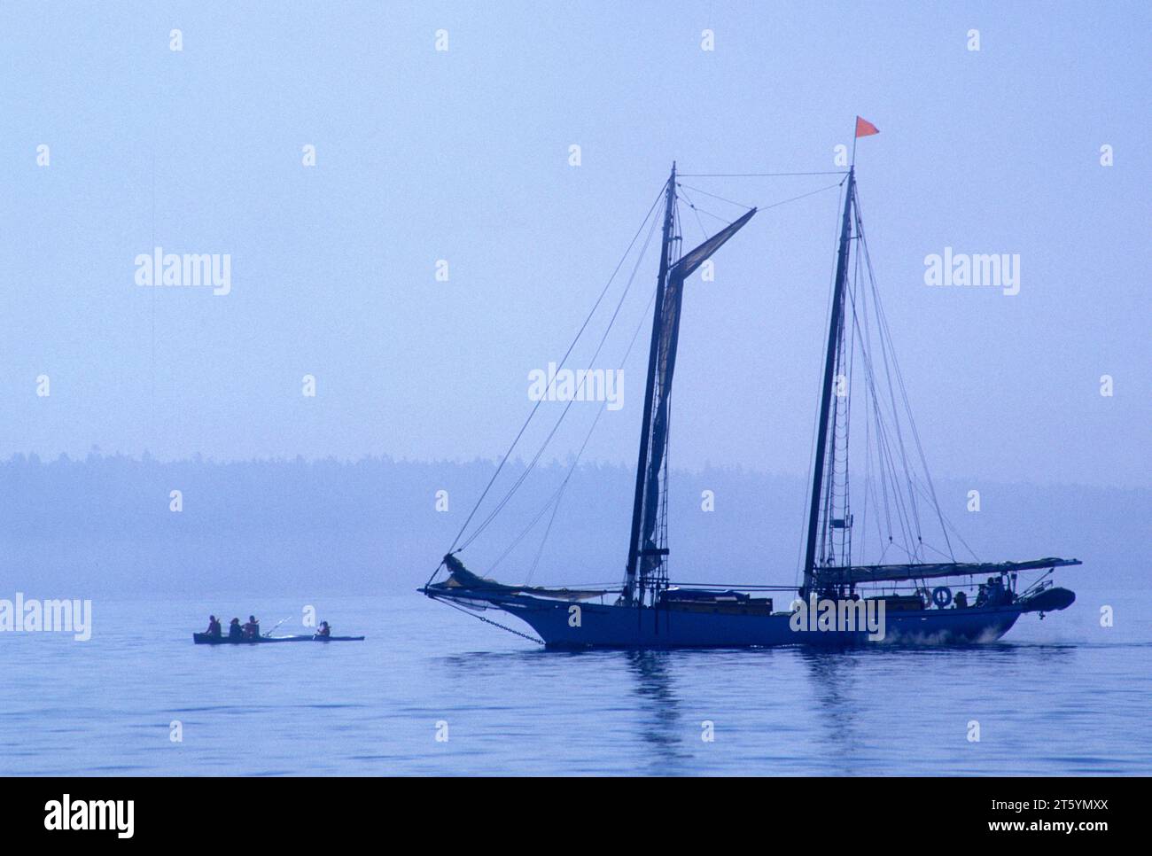 Sailboat in Admiralty Inlet, Fort Worden State Park, Washington Stock ...