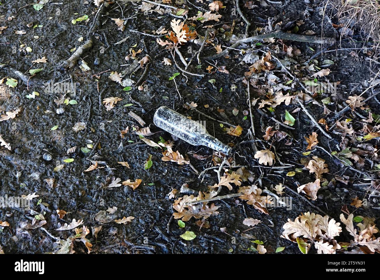 Environmental pollution in a nature reserve, Germany Stock Photo - Alamy