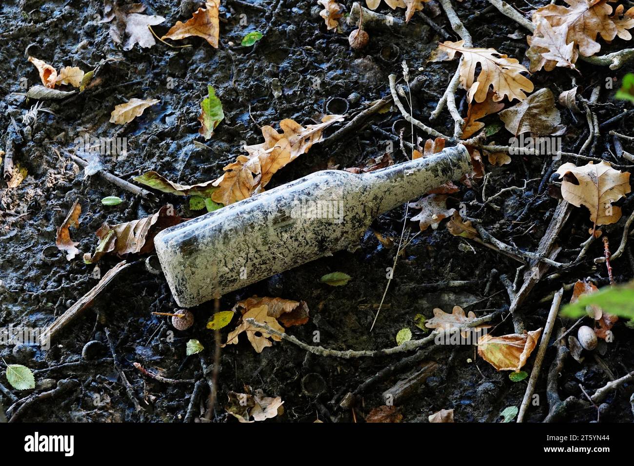 Environmental pollution in a nature reserve, Germany Stock Photo - Alamy