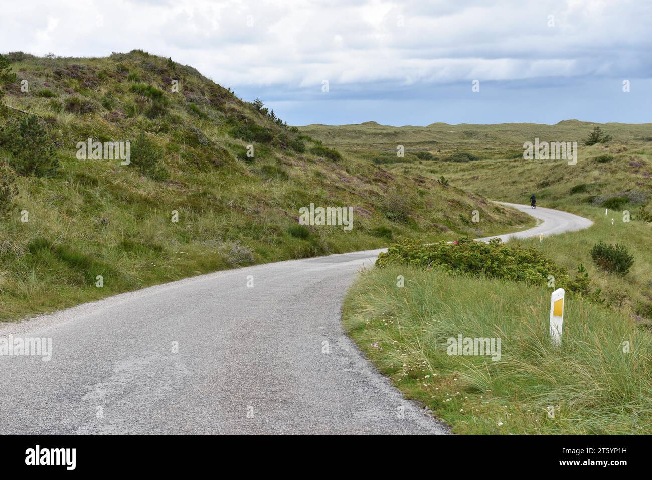 Road in the dunes of Denmark Stock Photo - Alamy