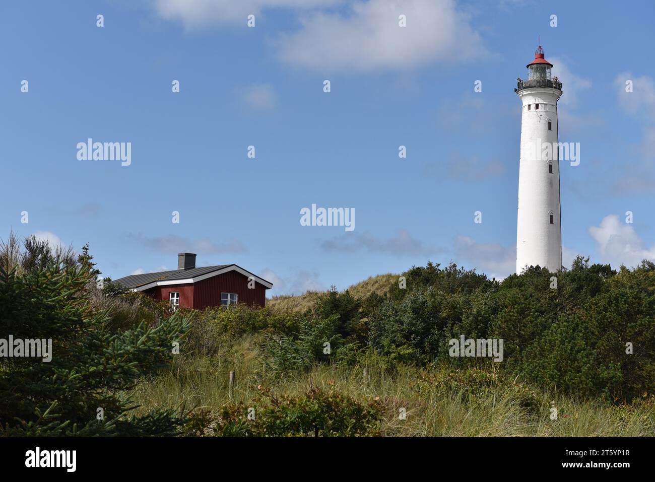 Lyngvig lighthouse in denmark hi-res stock photography and images - Alamy