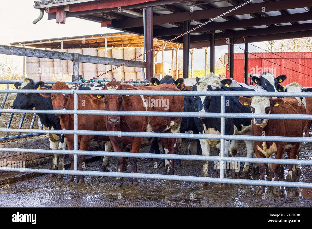 Enclosure house hi-res stock photography and images - Alamy