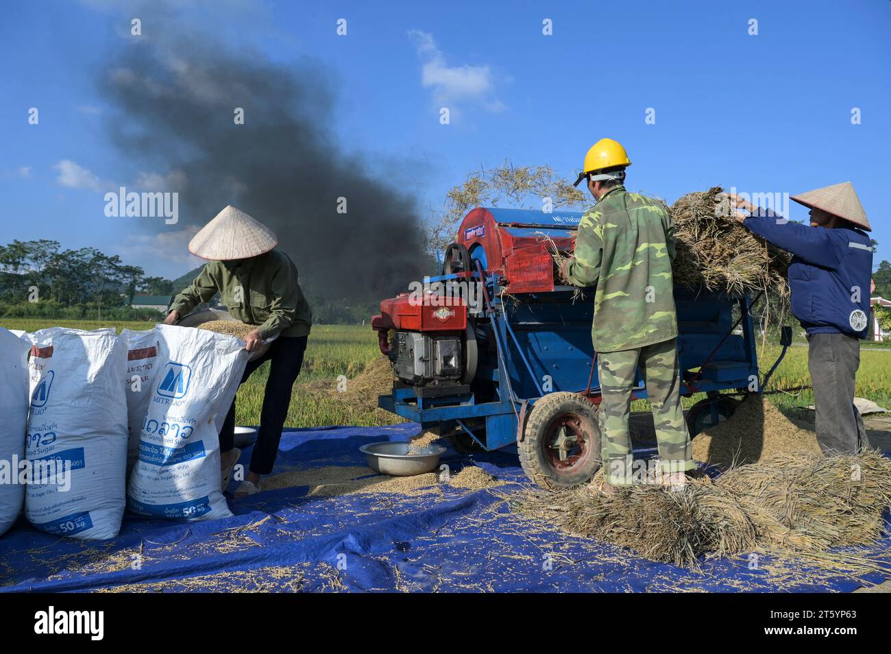 VIETNAM, Yen Bai Province, Cam Nhan, farmer thresh rice after harvest ...