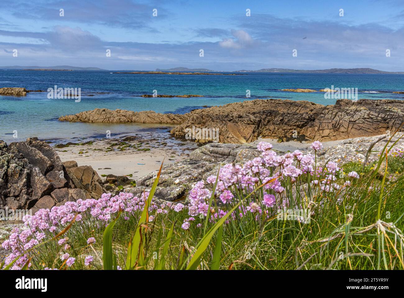 Anchor Beach, Connemara Coast, County Galway, Ireland Stock Photo - Alamy