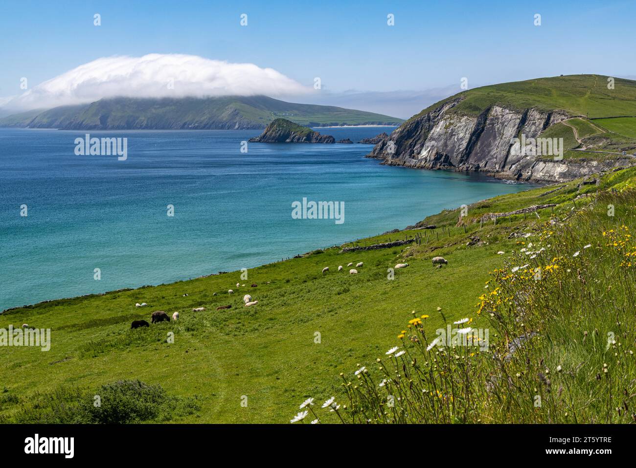 Coumeenoole Beach, Dingle Peninsula, County Limerick, Ireland Stock ...