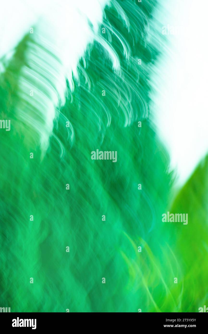 Green dynamic curving light trails. Green blurry defocused dynamic ...