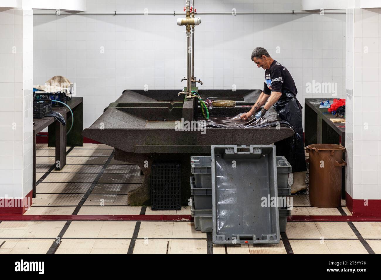 Fish being cleaned, fish market, market hall Mercado dos Lavradores ...