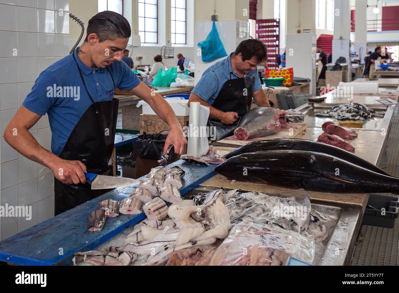 Black scabbardfish (Aphanopus carbo) being filleted, fish hall, fish ...