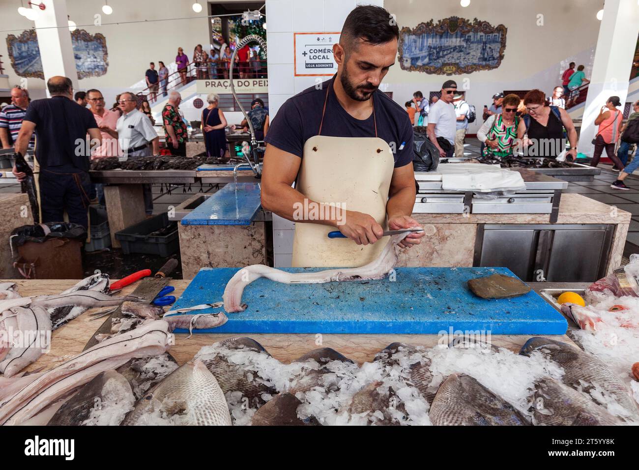 Black scabbardfish (Aphanopus carbo) being filleted, fish hall, fish ...