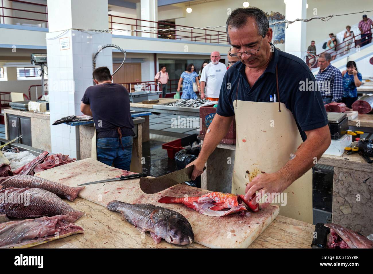 Fish hall, fish market, market hall Mercado dos Lavradores, Funchal ...