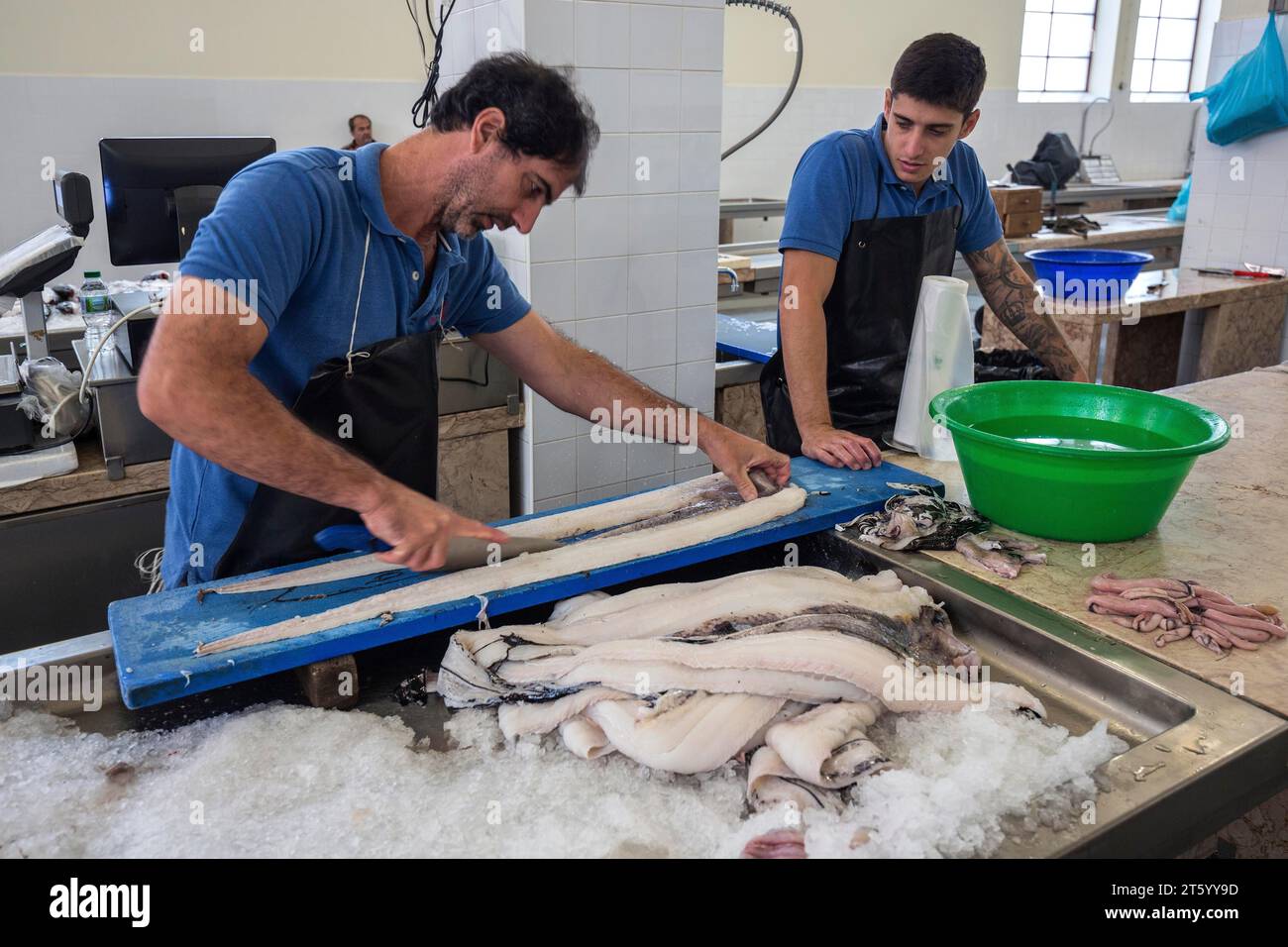 Black scabbardfish (Aphanopus carbo) being filleted, fish hall, fish ...