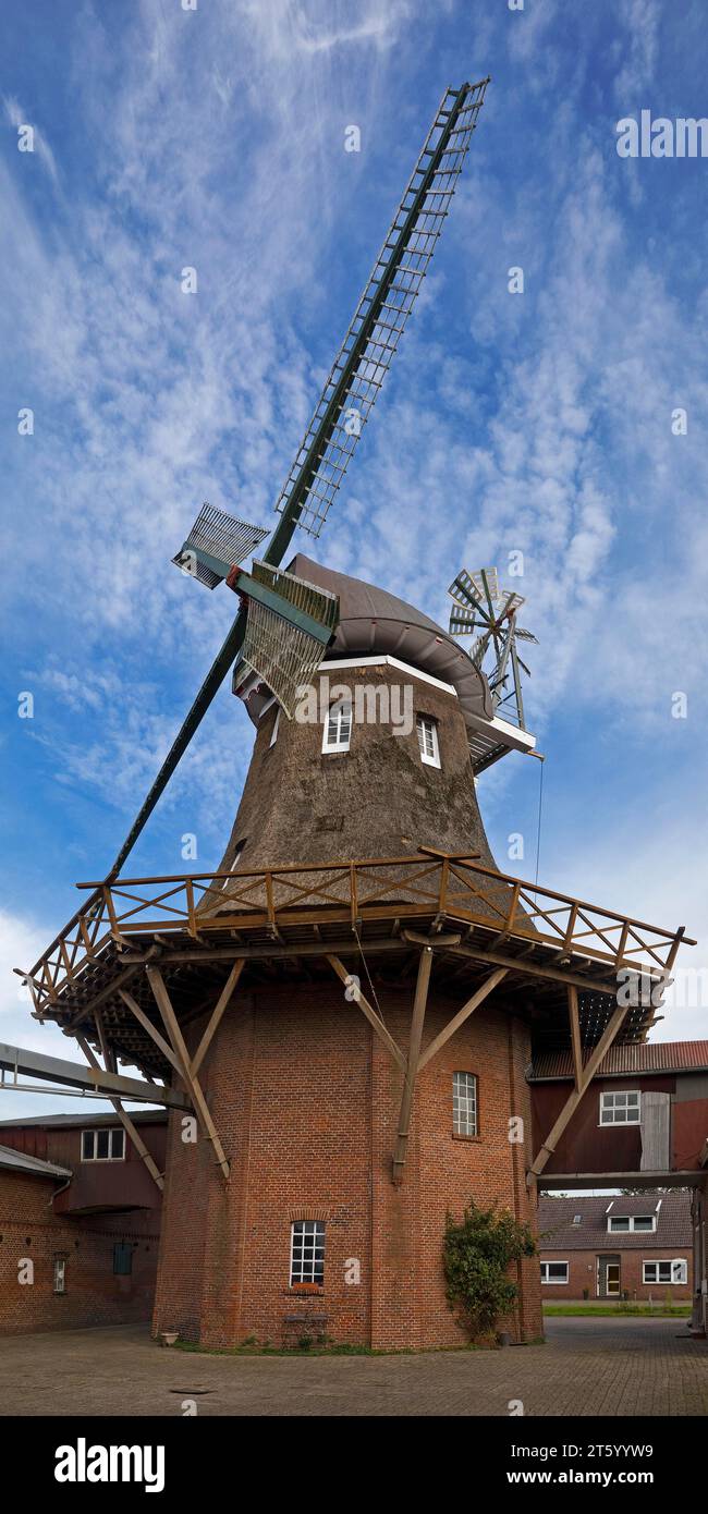 Gallery holland on octagonal rough brick substructure, hull with ...