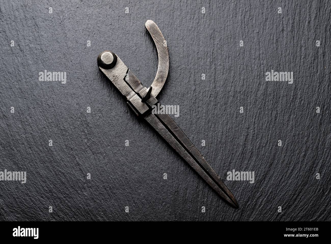 Calliper leg hi-res stock photography and images - Alamy
