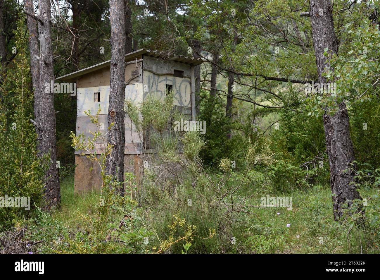 A Hidden, Concealed or Camouflaged Wooden Hunting Blind, Hunters Hut ...