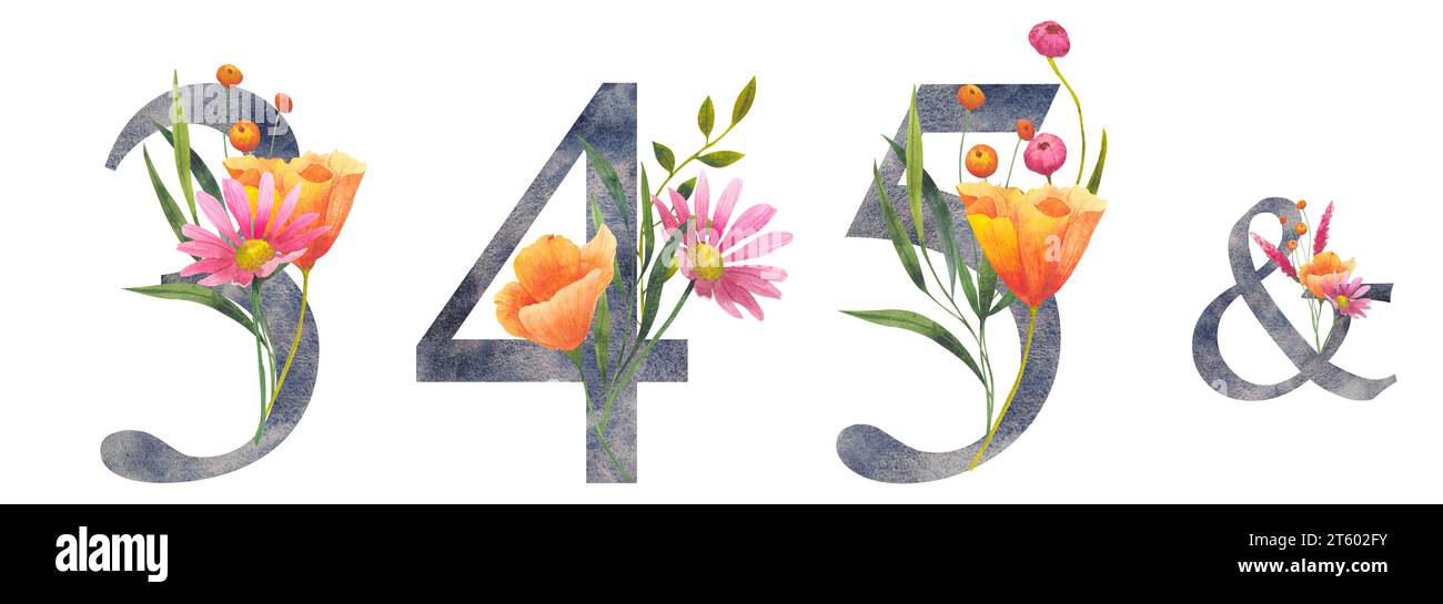 Number 3 4 5 . Set of floral numeric three, four, five in watercolor ...