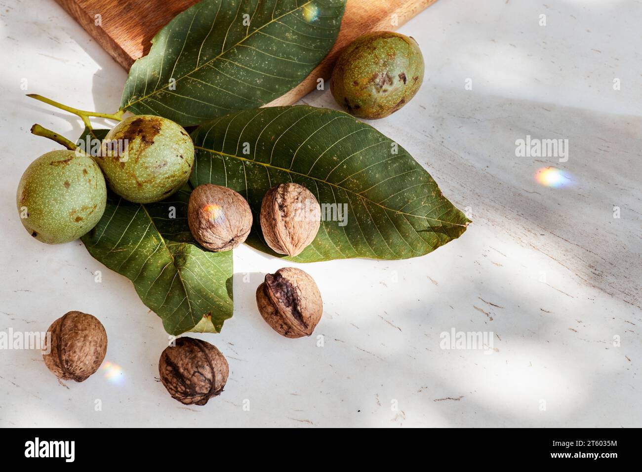 Young walnuts with leaves on a white background. Nuts with shell and ...