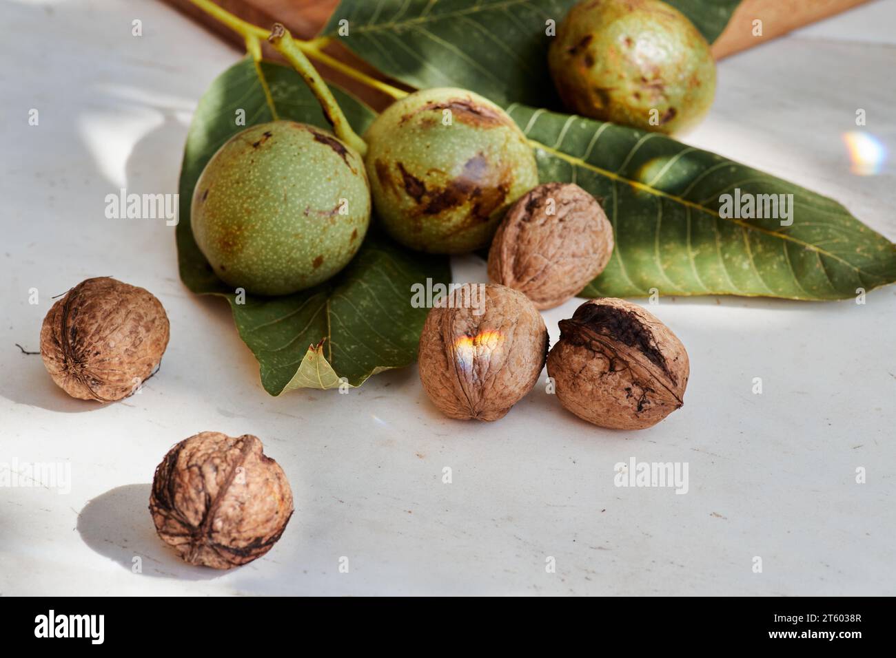 Young walnuts with leaves on a white background. Nuts with shell and ...