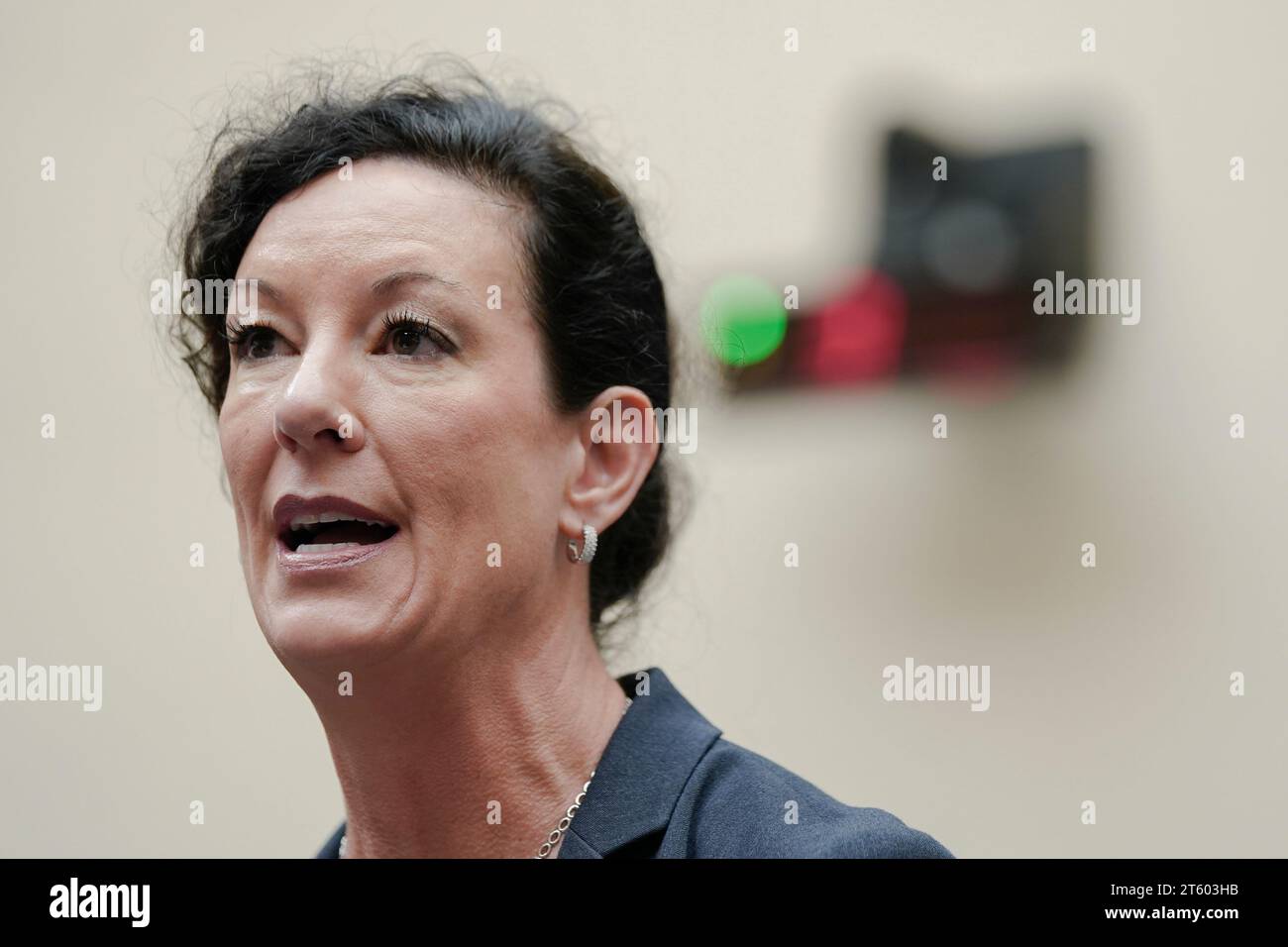 Federal Bureau of Prisons Director Colette Peters testifies during a ...