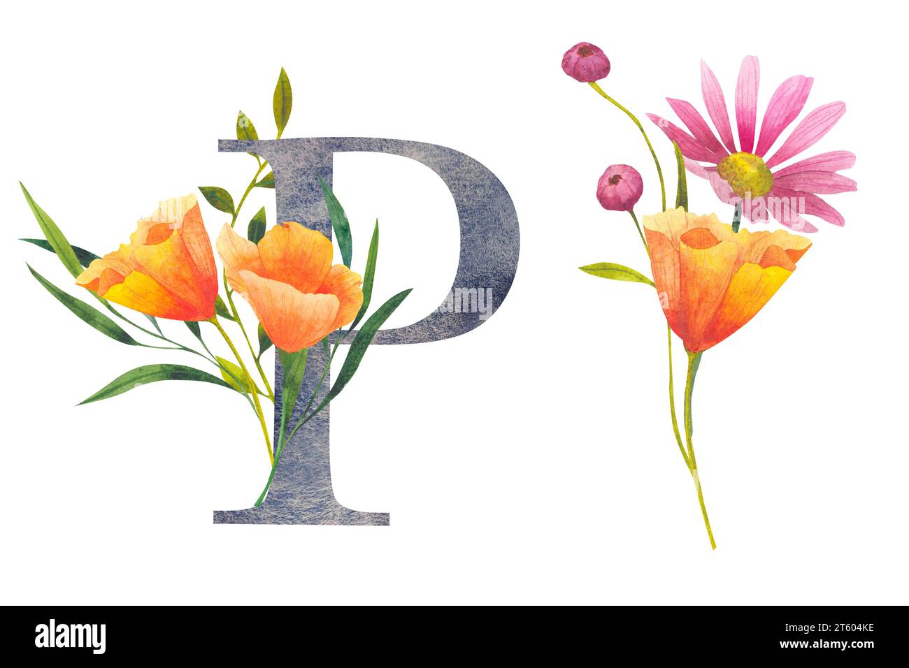 Letter P with watercolor wildflowers. Floral alphabet, set isolated ...
